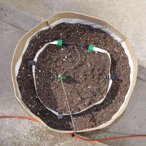 Blumat Kit de Riego Automático Tipo Anillo con Blusoak para Macetas de ...